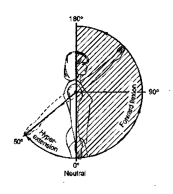 question about shoulder flexion (increasing or decreasing angle ...